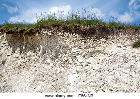 Chalk soil profile – Geographyphotos Blog